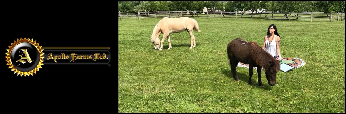 Gallery - Apollo Farms Ltd.