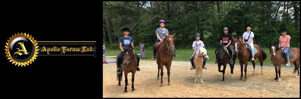 Apollo Farms Ltd. Offers Horseback Riding in Palmerton, PA